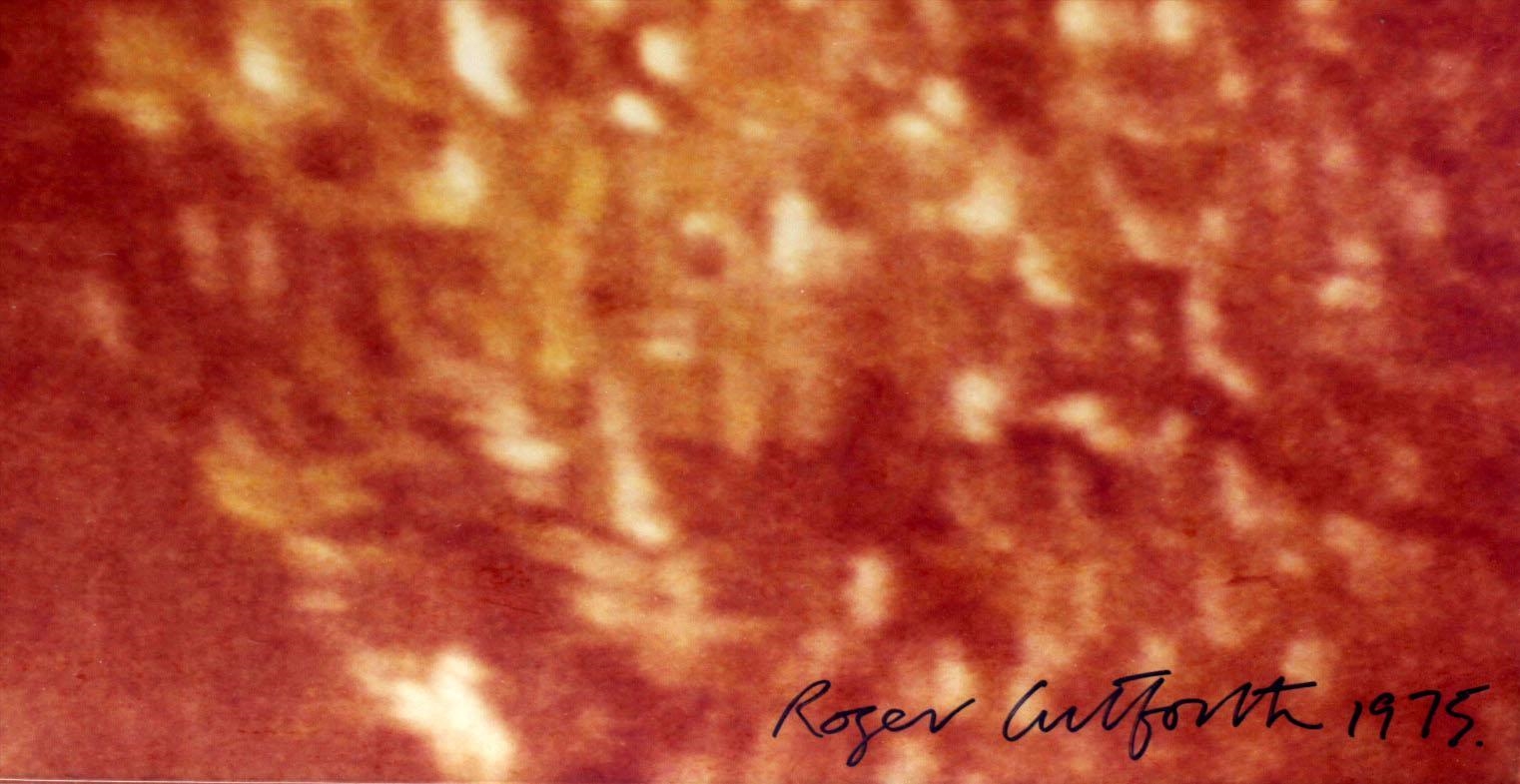 Roger Cutforth | Reflections in a Lake (1975) | MutualArt