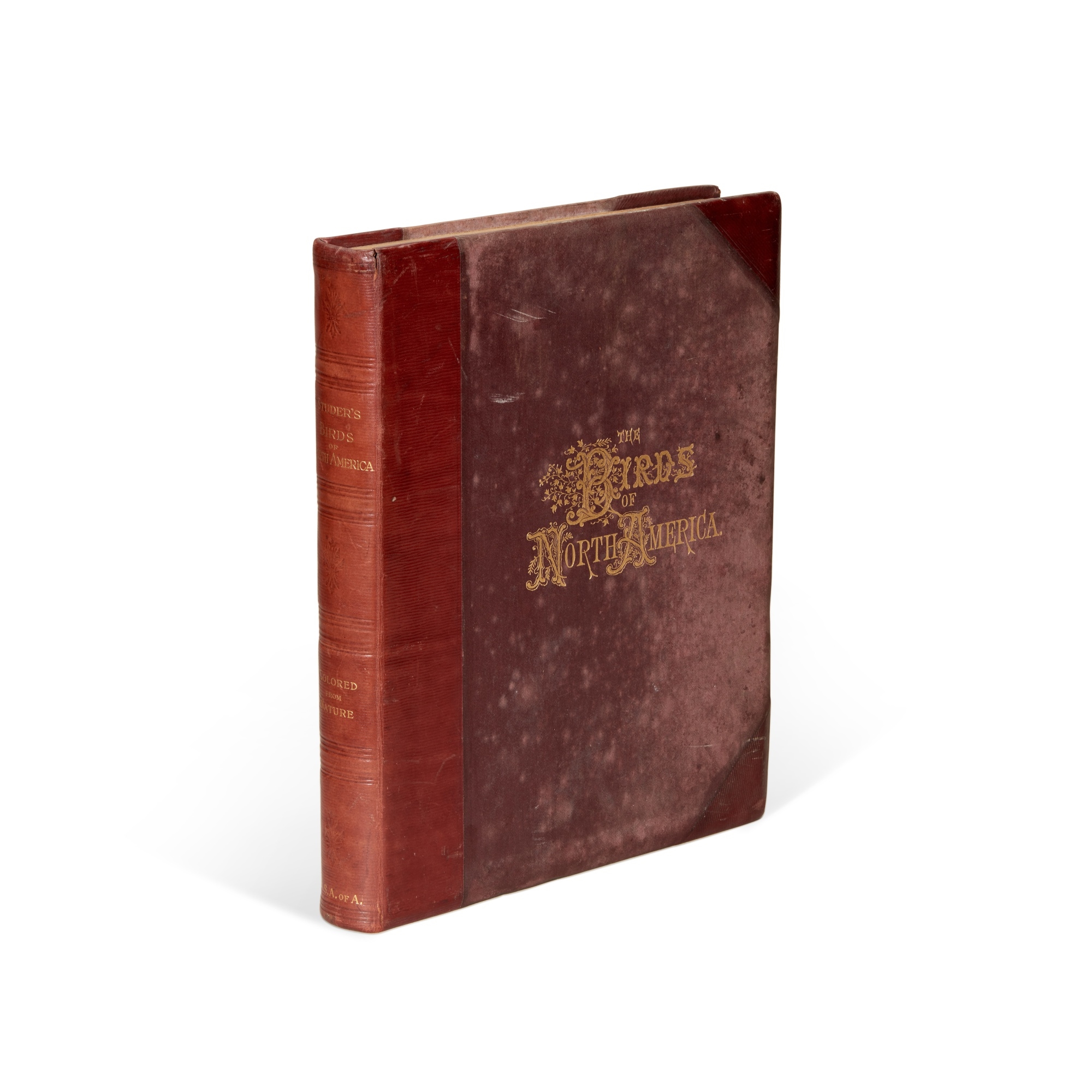 Theodore Jasper | The Birds of North America (1903) | MutualArt