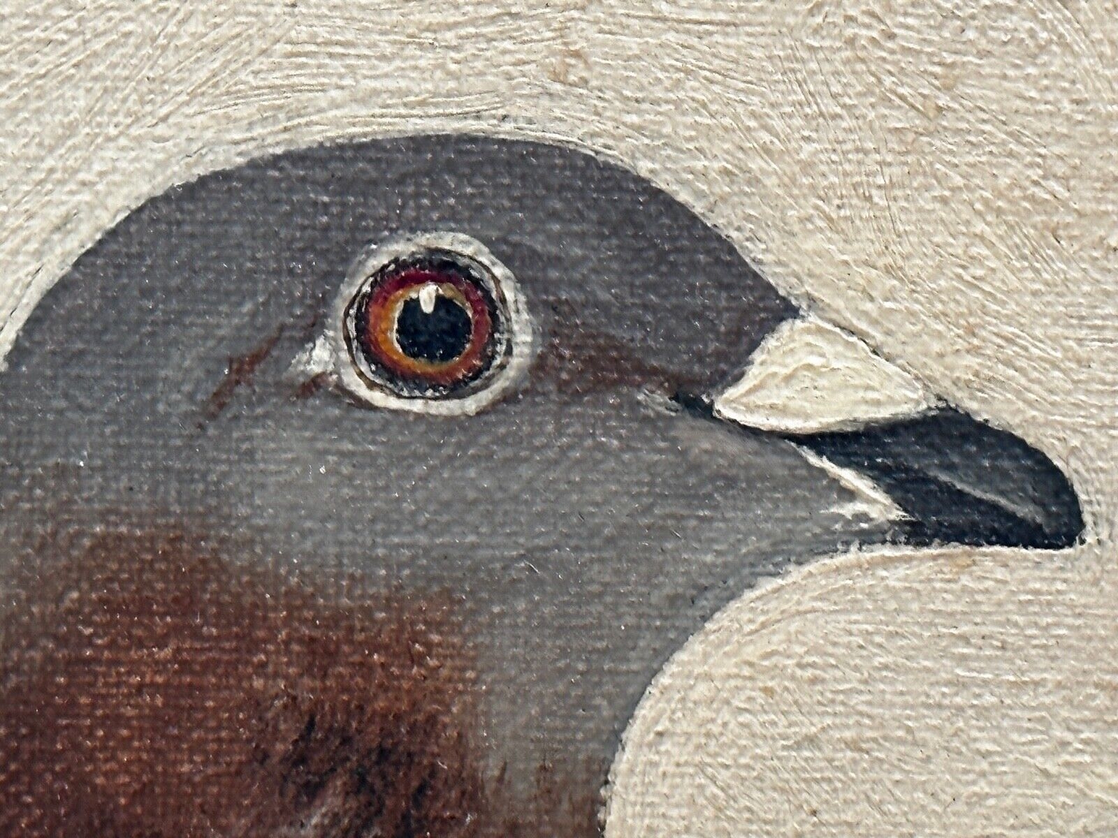 Edward Henry Windred | CHAMPION RACING BIRD PIGEON ADOLPHUS OIL ...