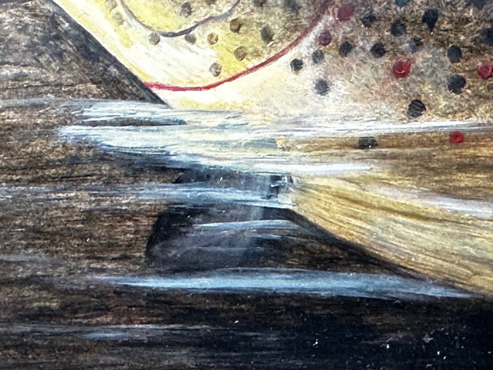 A. Roland Knight | RAINBOW TROUT FISH SURFACING OIL PAINTING | MutualArt