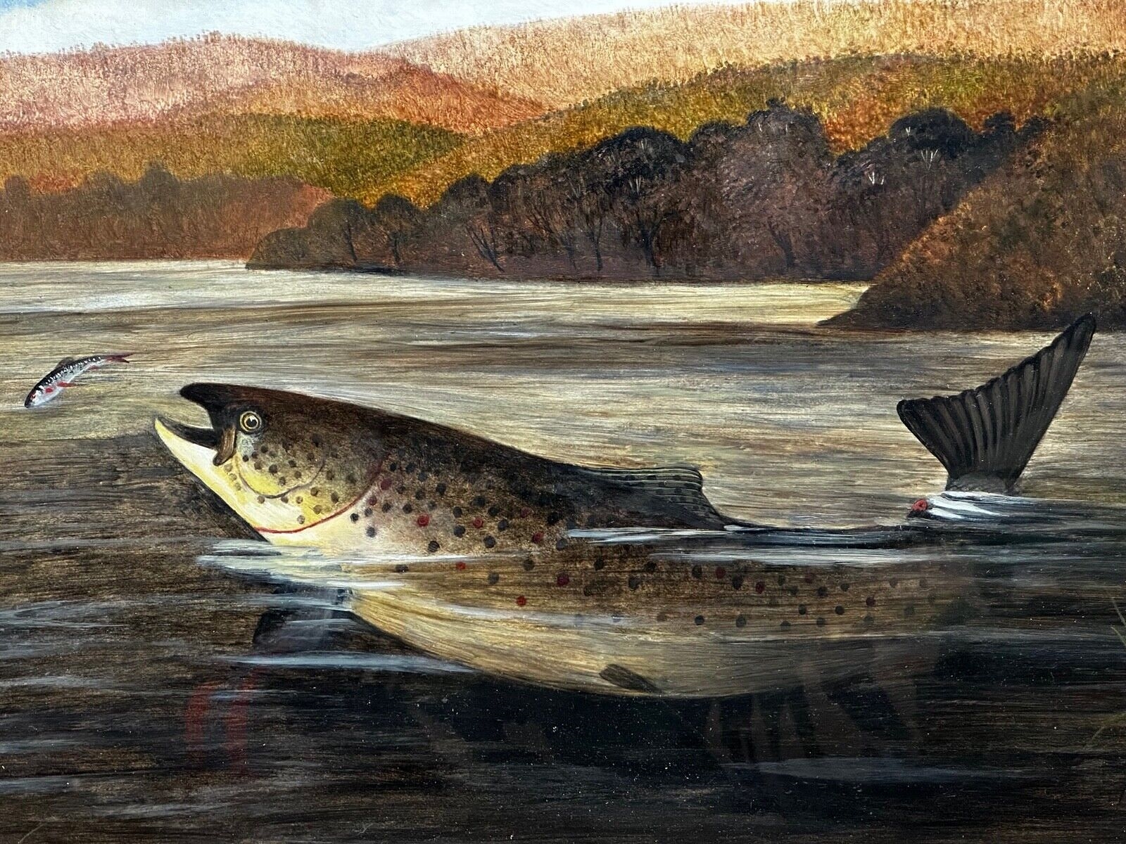 A. Roland Knight | RAINBOW TROUT FISH SURFACING OIL PAINTING | MutualArt