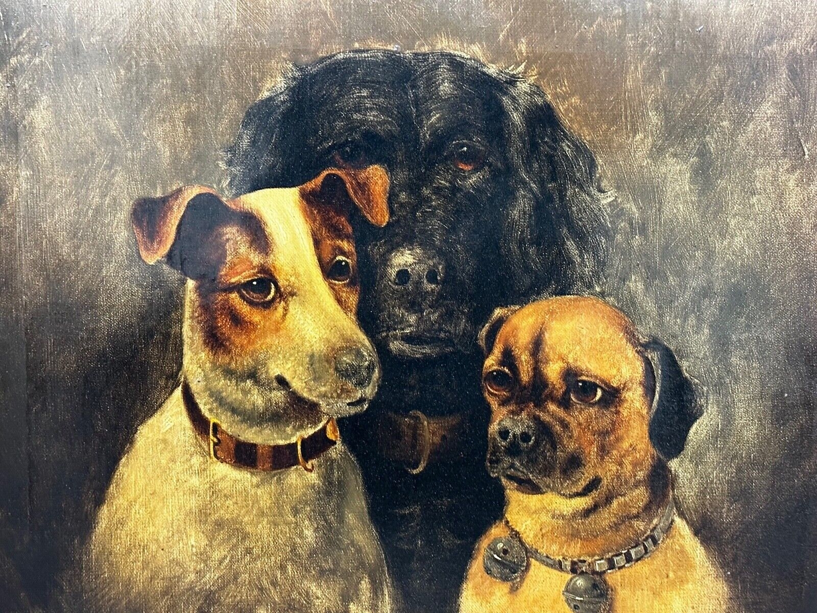 Charles Dudley | THE THREE GRACES JACK RUSSELL, COCKER SPANIEL & PUG ...