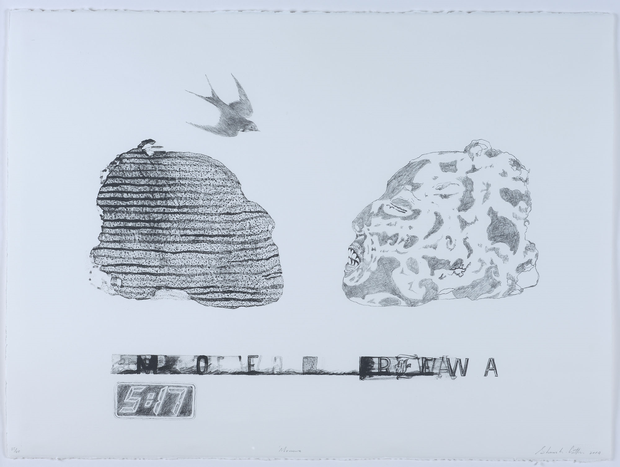 Shane Cotton | Moerewa | MutualArt