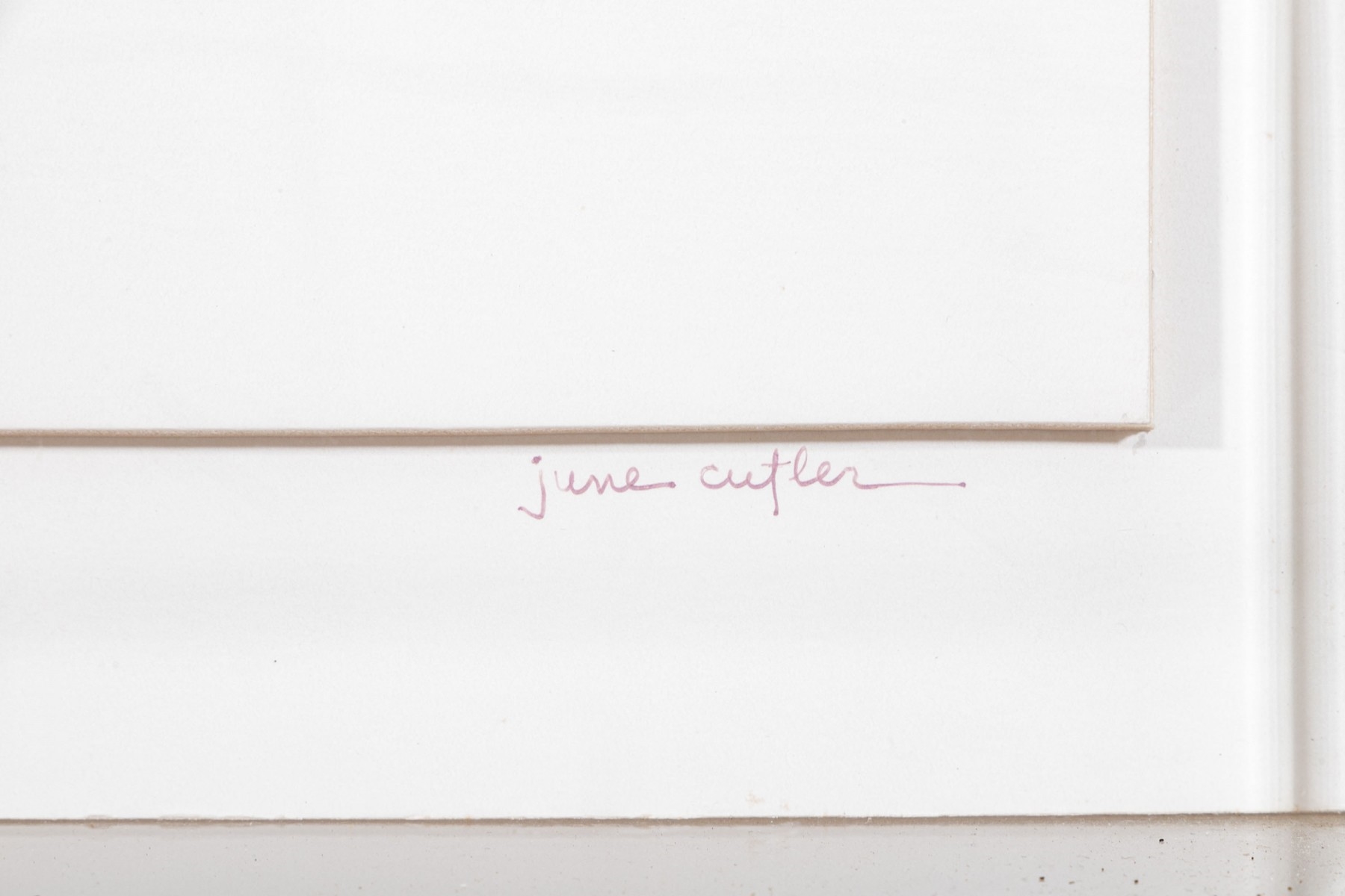 June Cutler | 3D Shadow Box Art | MutualArt