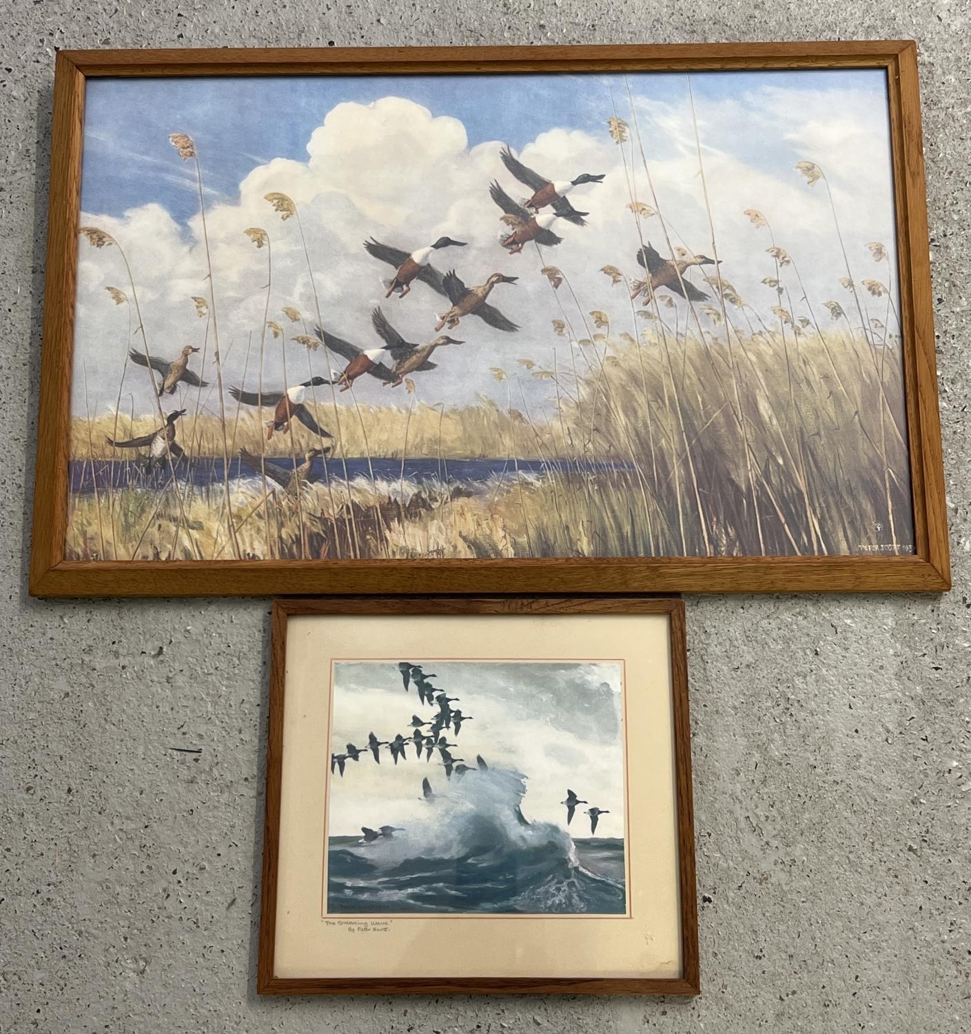 Peter Markham Scott | The Breaking Wave and Taking to Wing | MutualArt