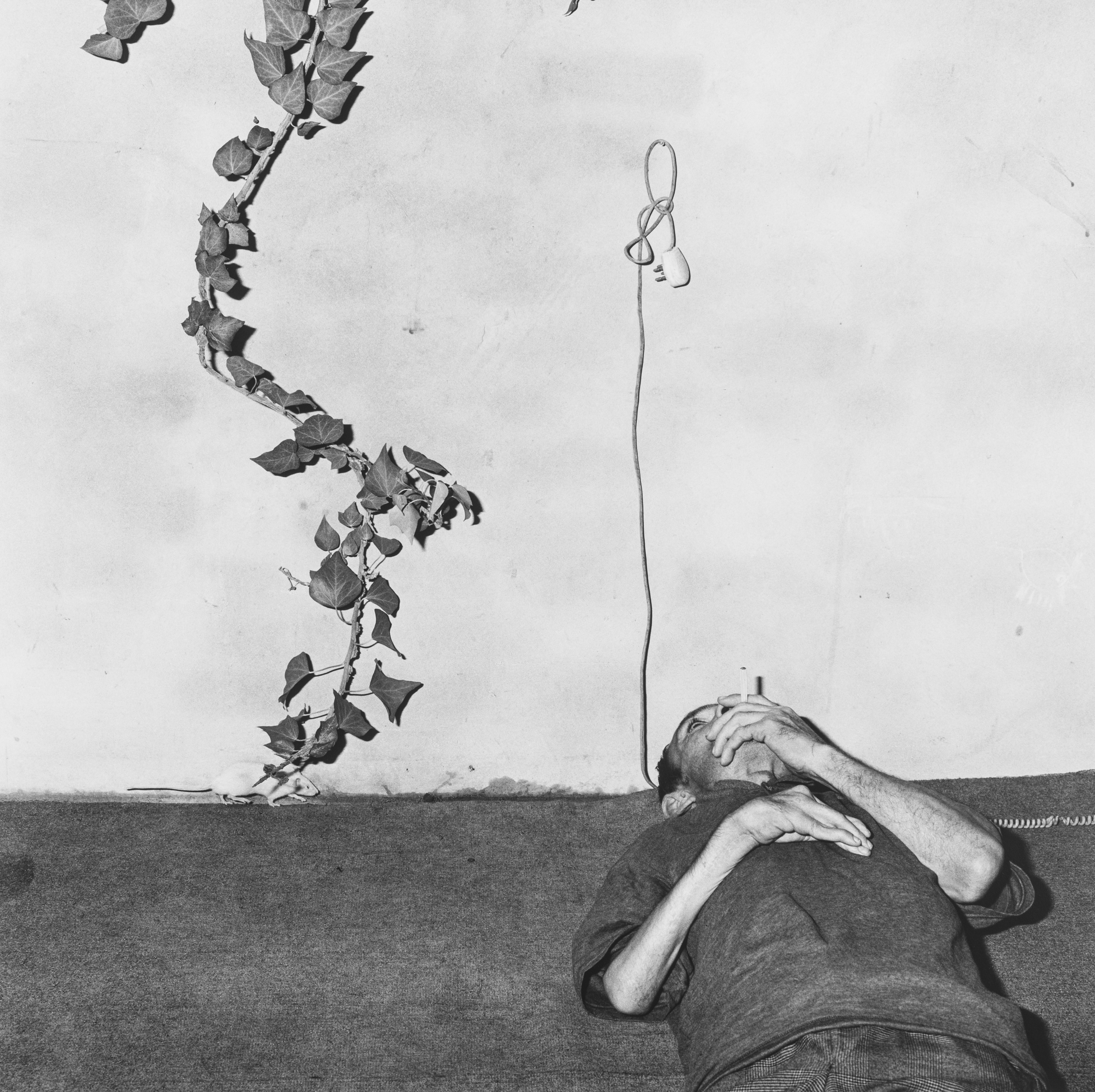Roger Ballen Wallpaper