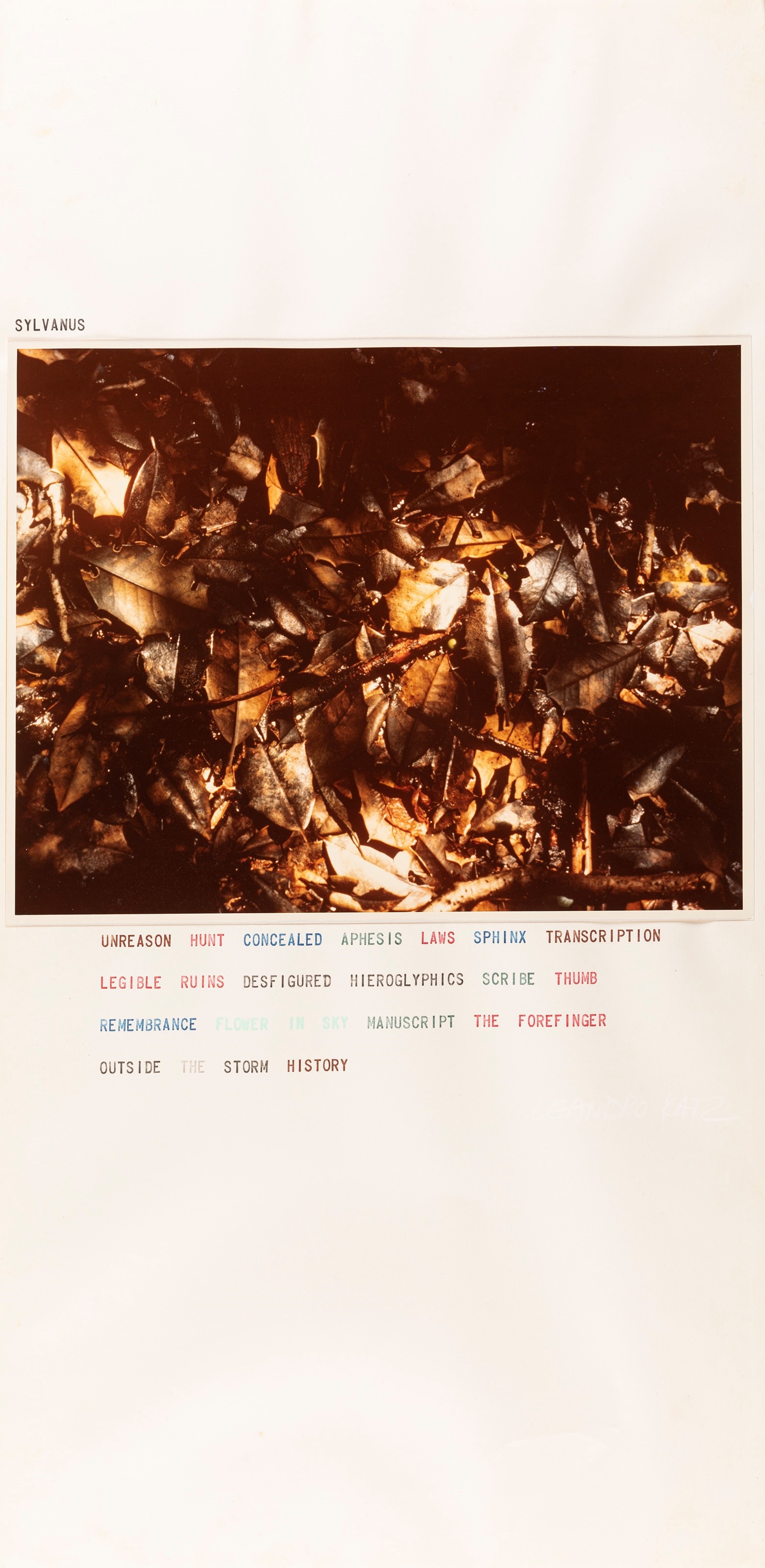 Leandro Katz | Study for The Transcode Series (1978) | MutualArt