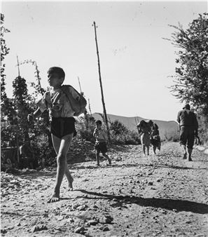 Robert Capa | 487 Artworks at Auction | MutualArt