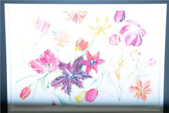 mary clare cornwallis