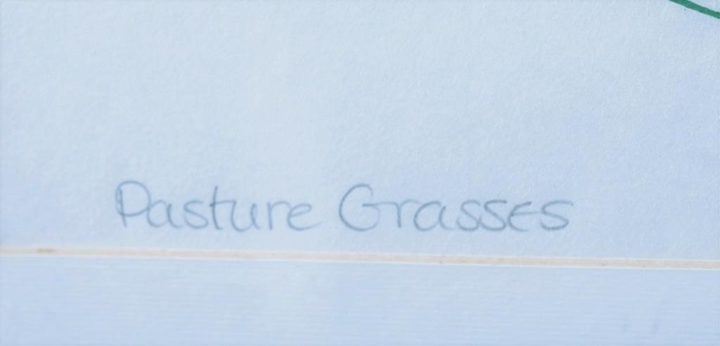 Sabra Field | Pasture Grasses | MutualArt