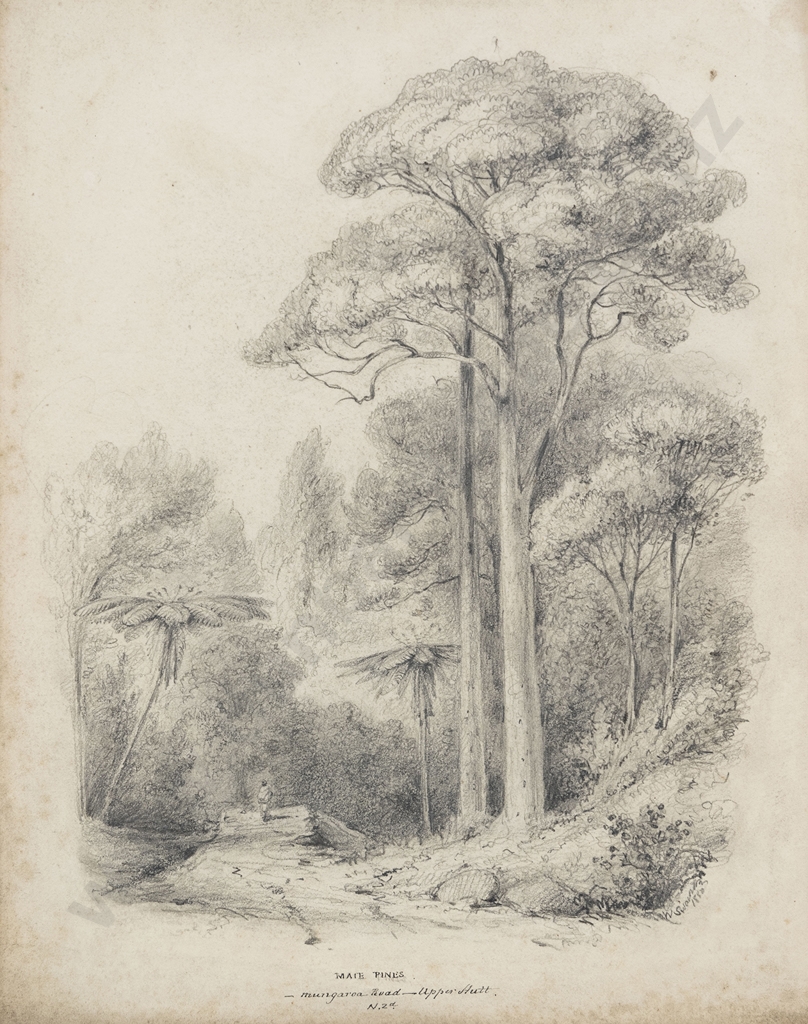William Swainson | Maie Pines (1850) | MutualArt