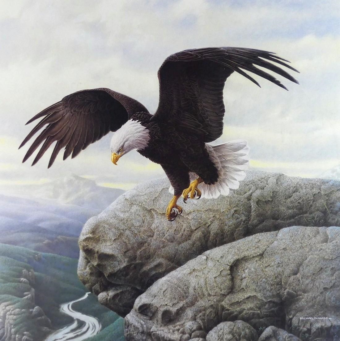 Michael Dumas | Bald Eagle | MutualArt