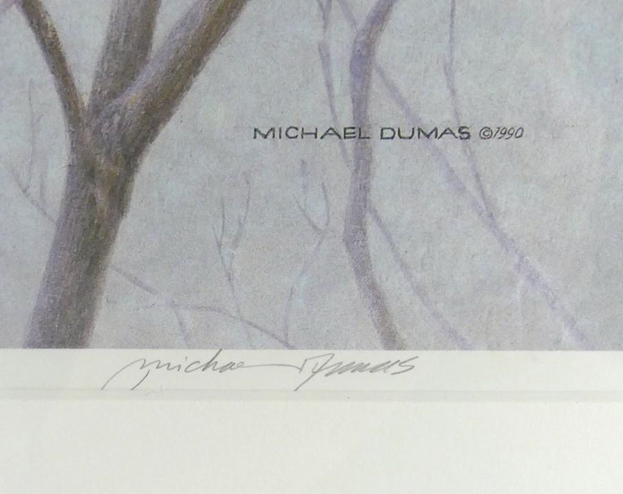 Michael Dumas | Cooper's Hawk (1950) | MutualArt