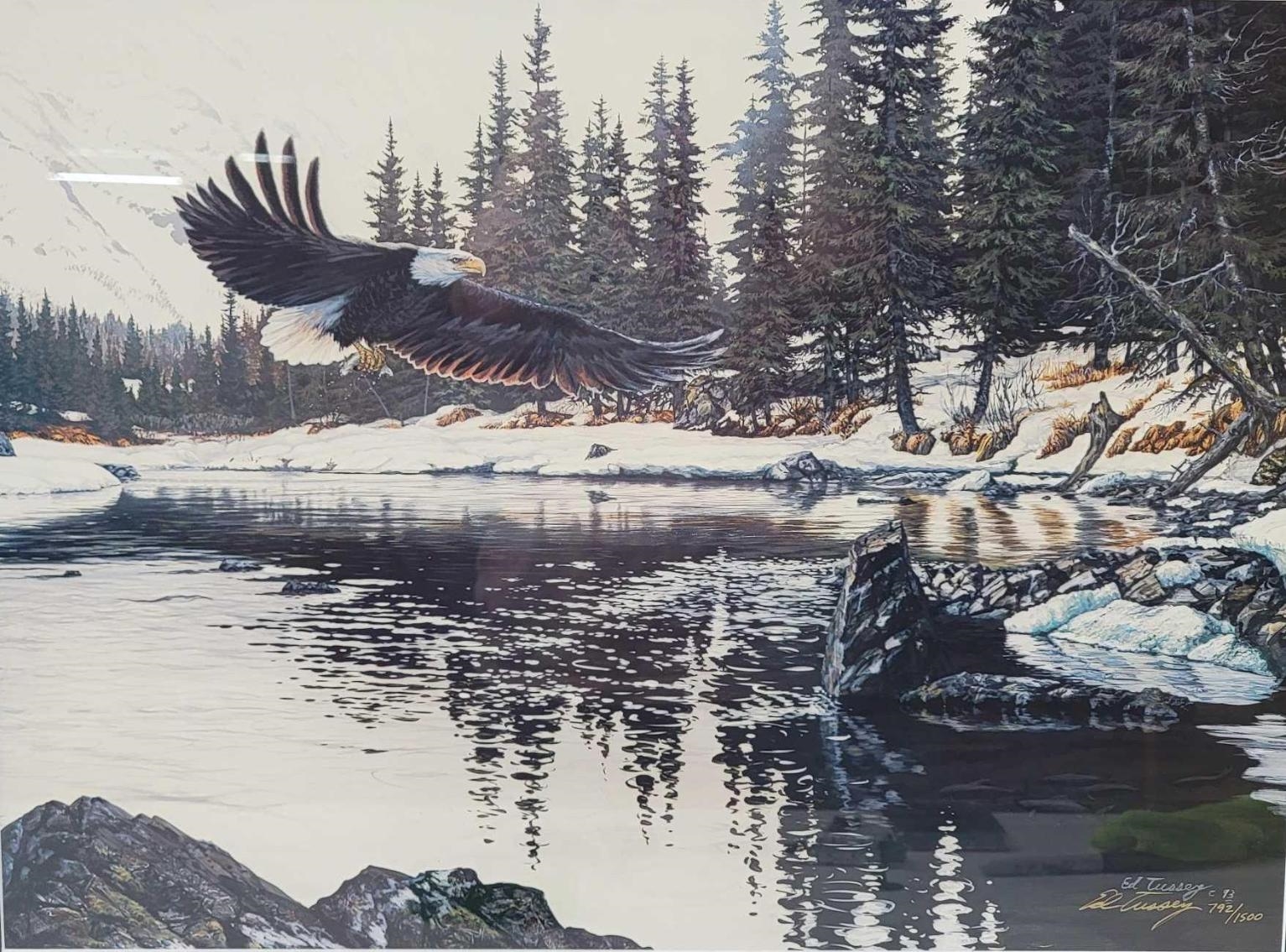 Ed Tussey | Glacier Orcas | MutualArt
