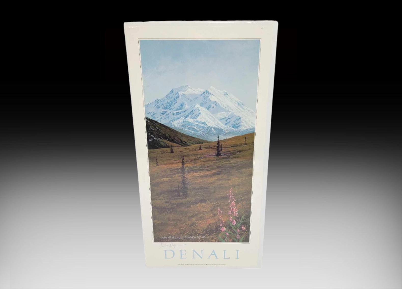 Jon Van Zyle | Denali...Fire & Ice | MutualArt