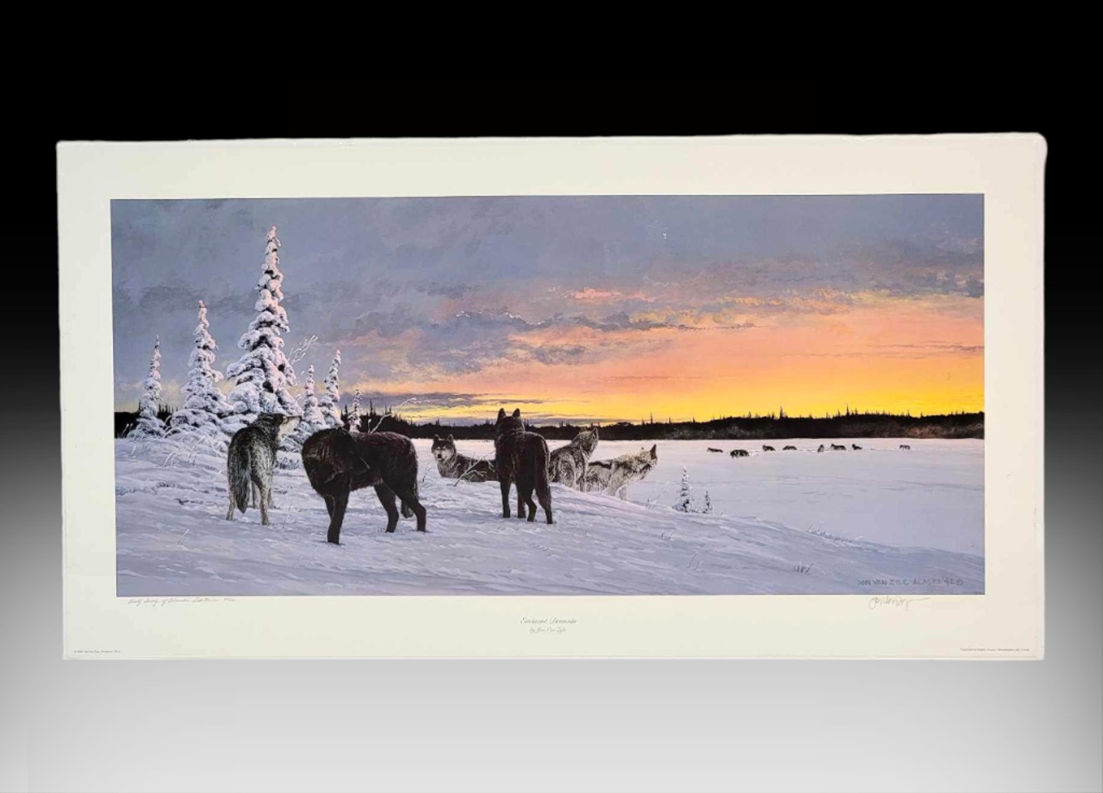 Jon Van Zyle | Eminent Domain | MutualArt