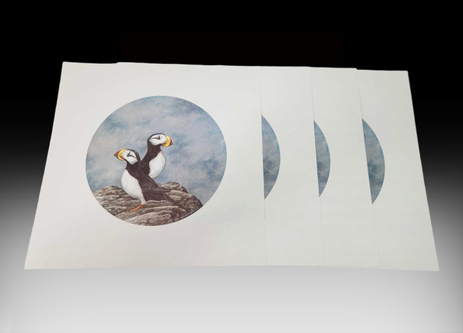 Tim Dickson | Puffin | MutualArt