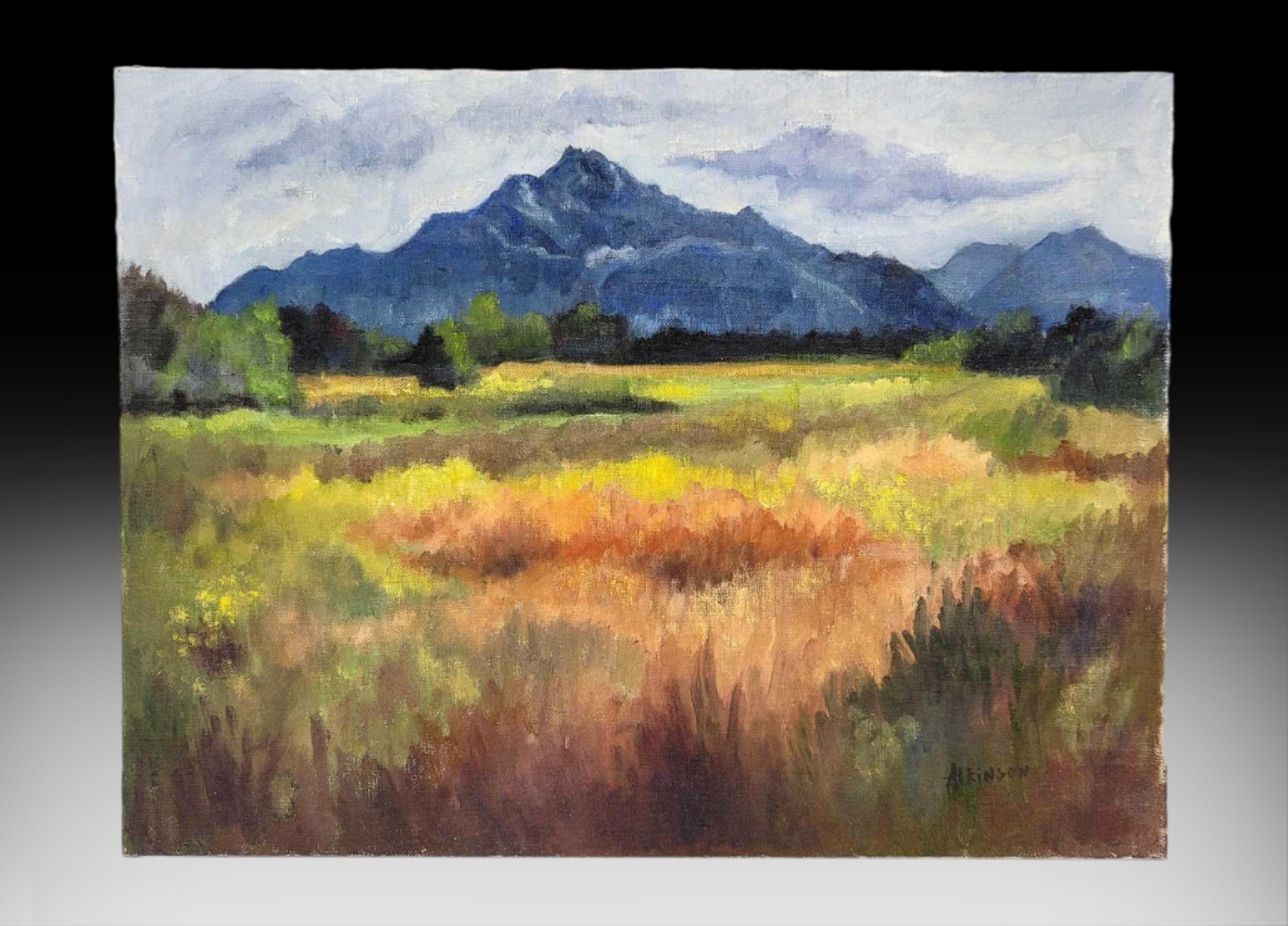 Betty Atkinson | Alaska Landscape | MutualArt