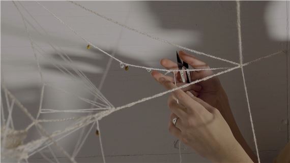 Sian Kelly: Metamorphosis I | Exhibitions | MutualArt