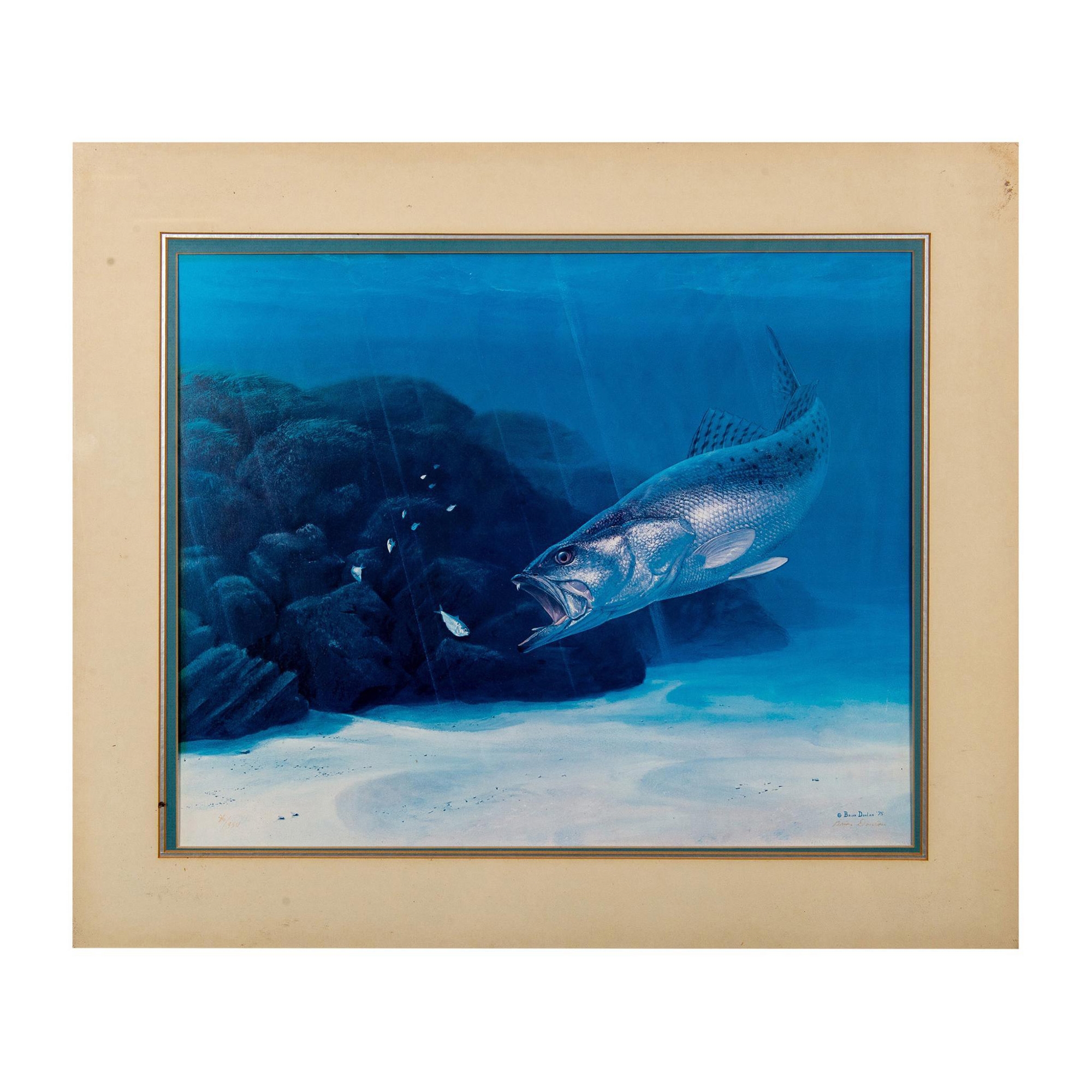 Brian Donlan | Silver-scaled fish in pursuit of a small baitfish near a ...