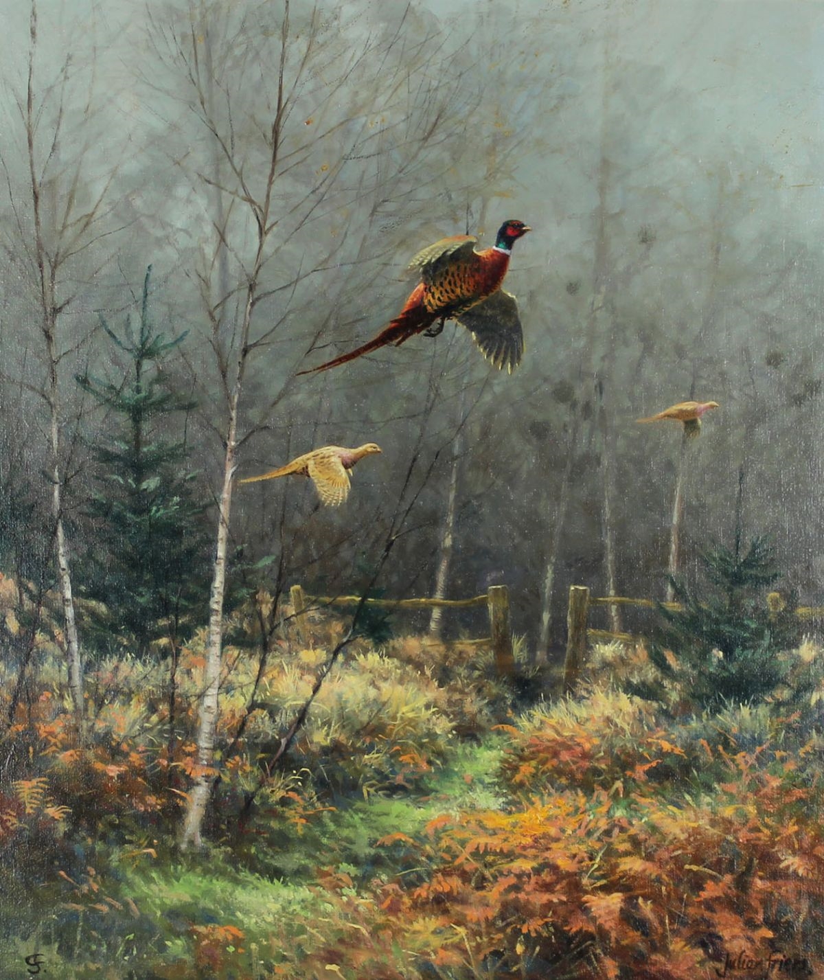 Julian Friers | Pheasant in Flight | MutualArt