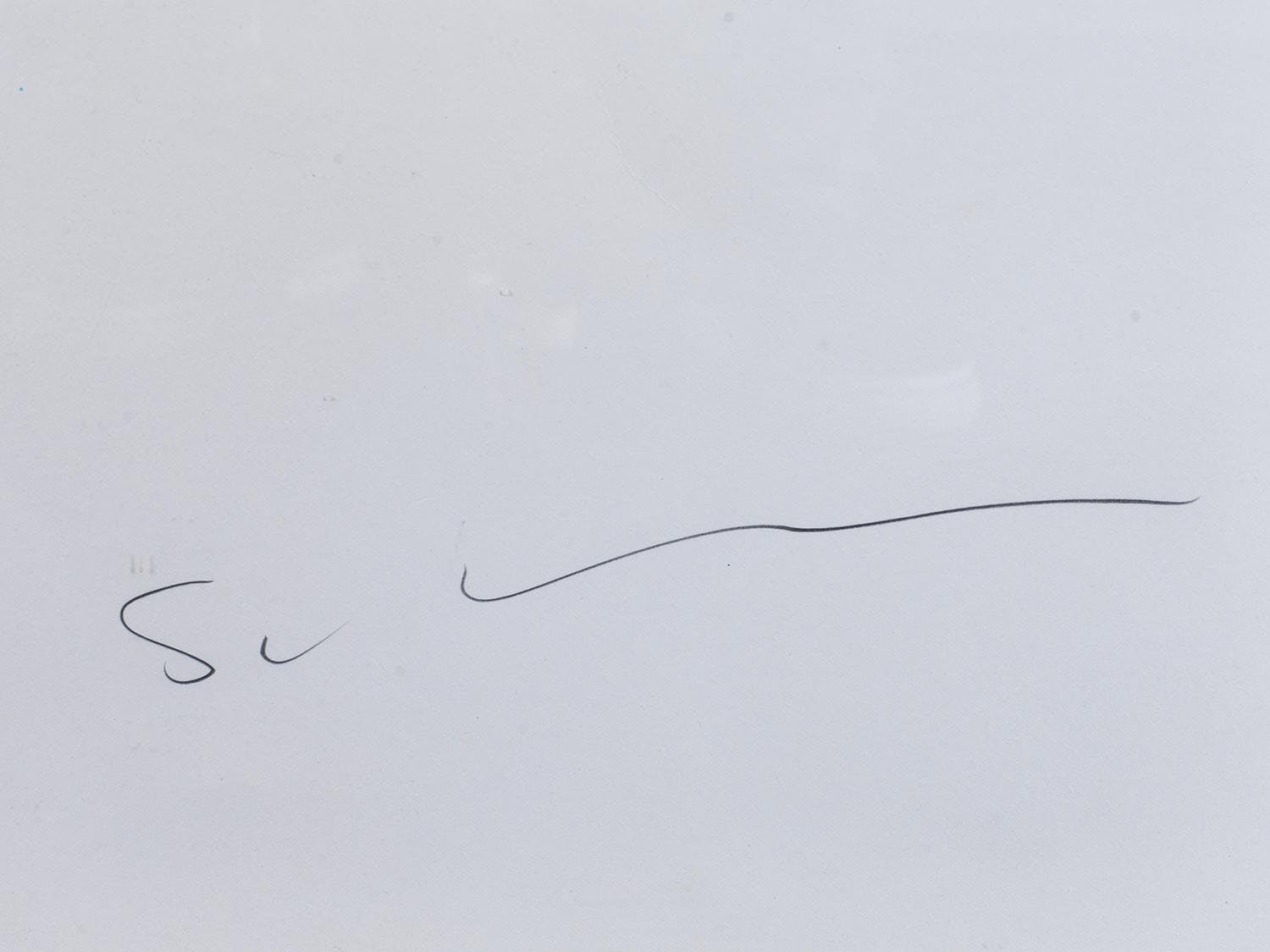 Mario Schifano | UNTITLED ( X MOMO) | MutualArt