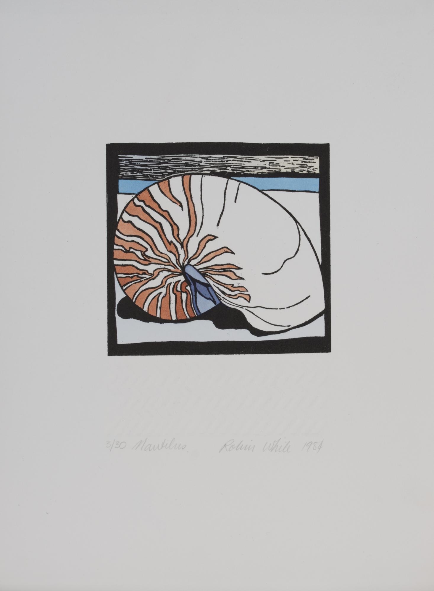Robin White | Three Nouo Broken Shells (1984) | MutualArt
