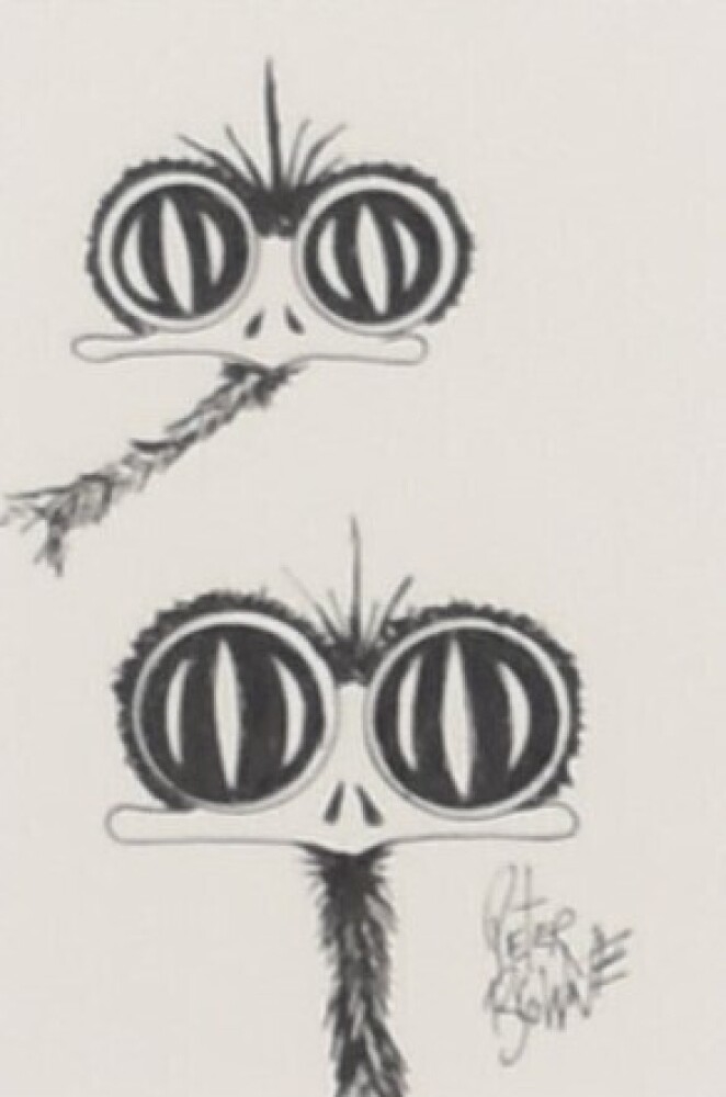 Peter Browne | Two Emus | MutualArt