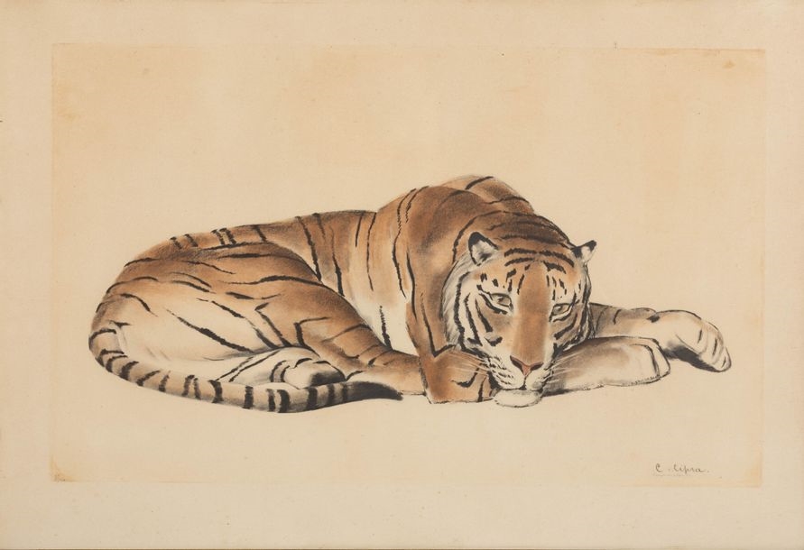 Jean Camille Cipra | Tigre allongé. | MutualArt