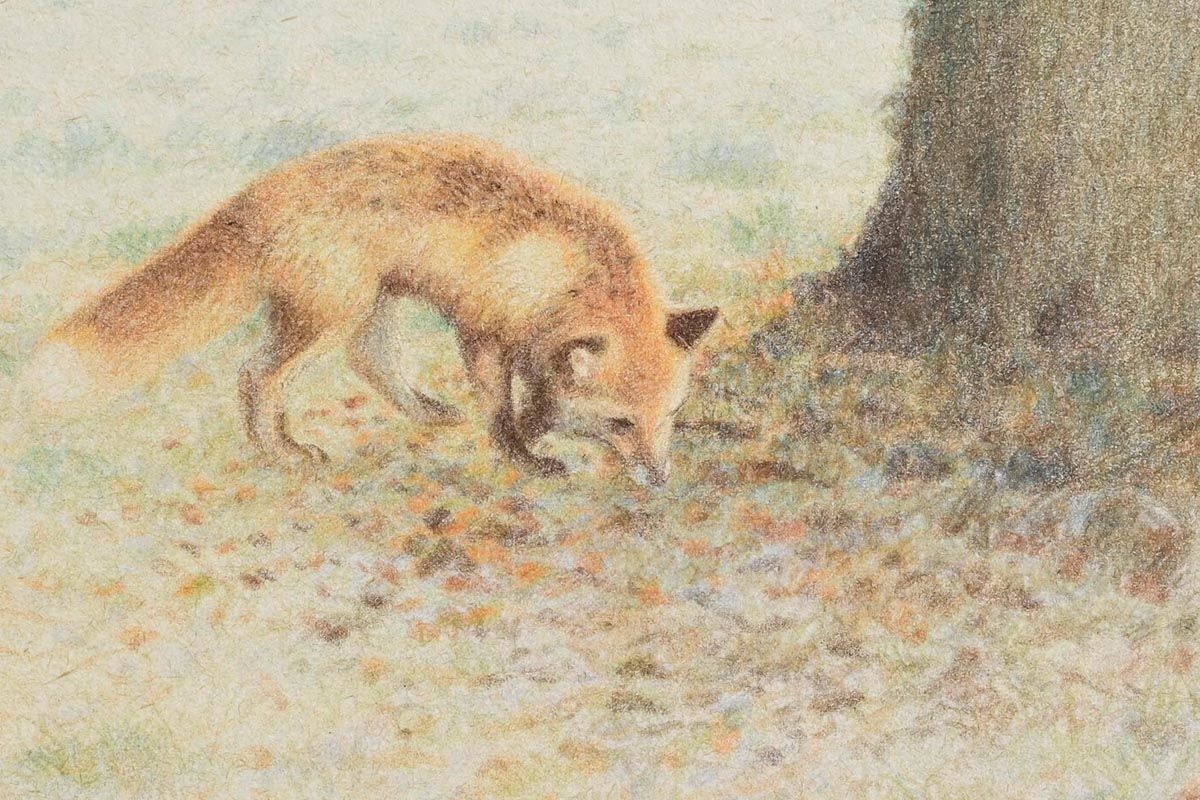 Carol Graham | Fox By a Tree (1985) (1985) | MutualArt