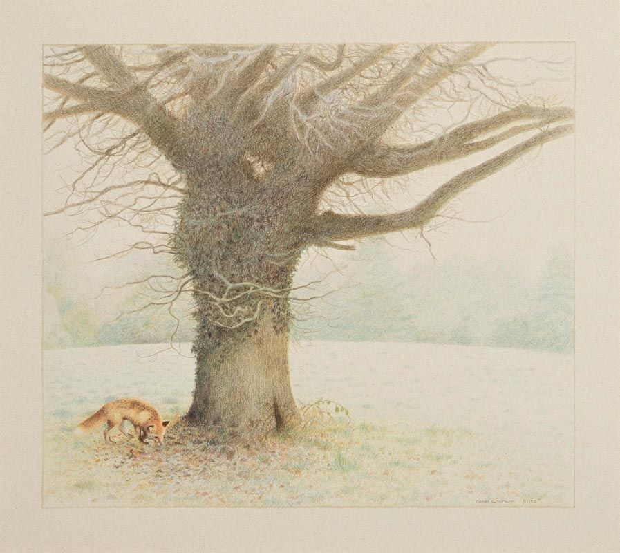 Carol Graham | Fox By a Tree (1985) (1985) | MutualArt