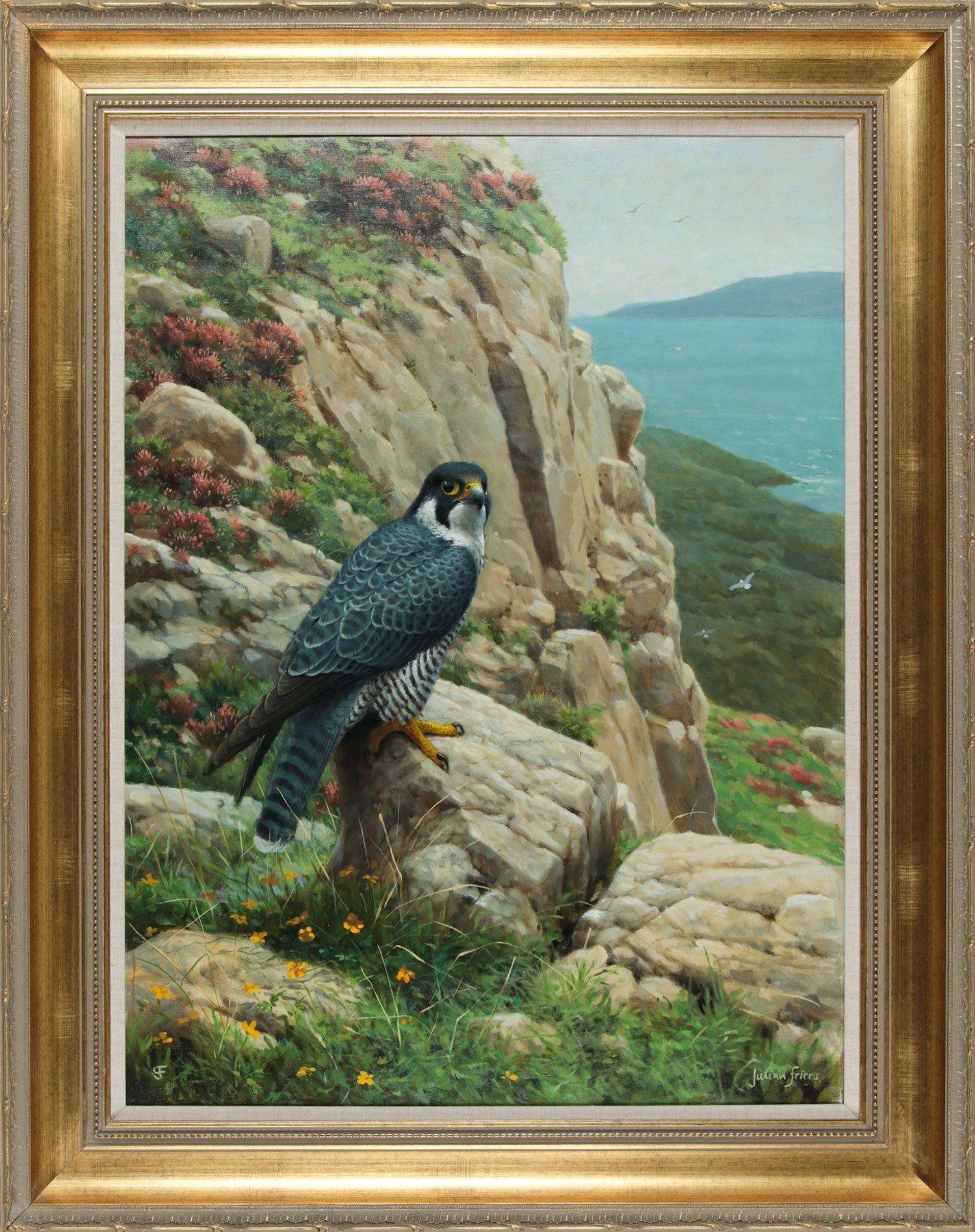 Julian Friers | PEREGRINE FALCON | MutualArt