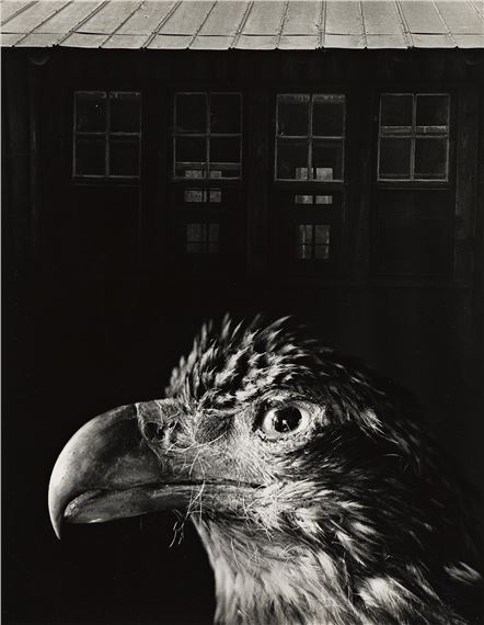 Jerry Uelsmann | JERRY UELSMANN (1934-2022) (1934) | MutualArt