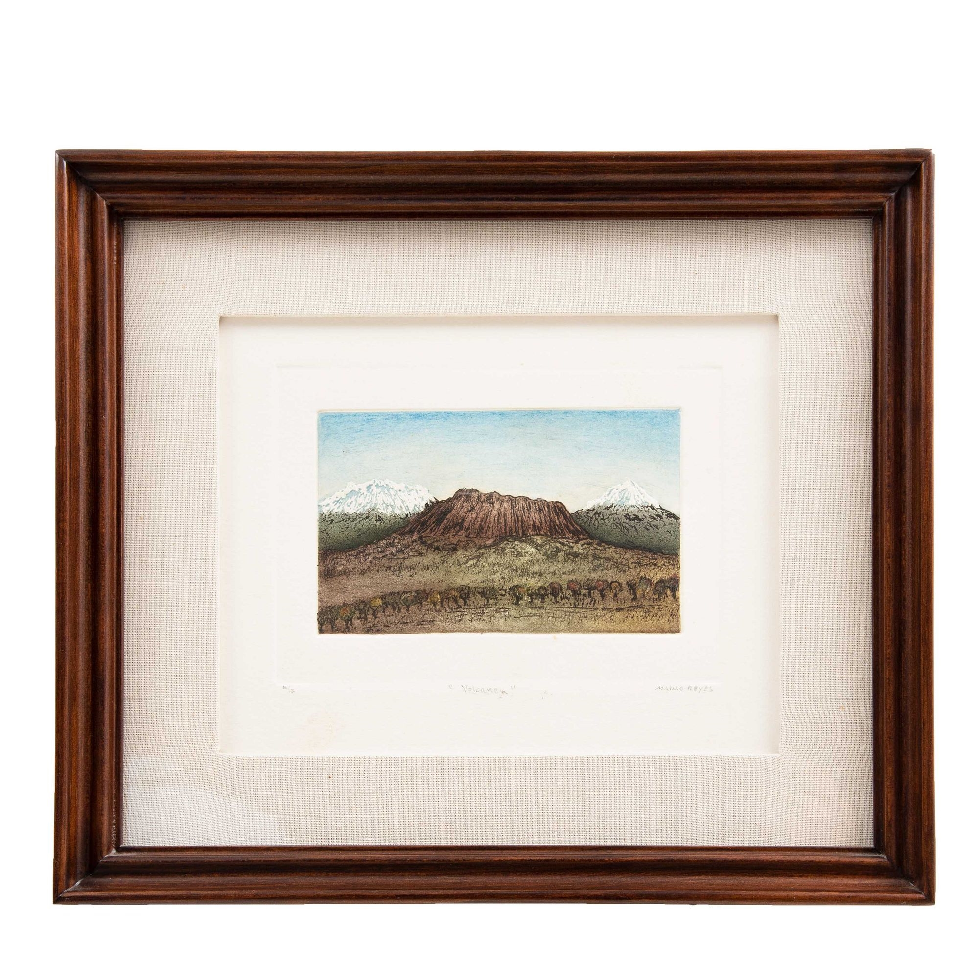 Mario Reyes | Volcanes | MutualArt