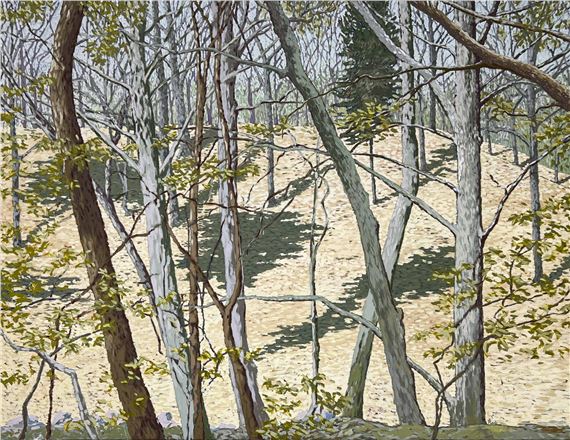 David Raab | 1 Artworks at Auction | MutualArt
