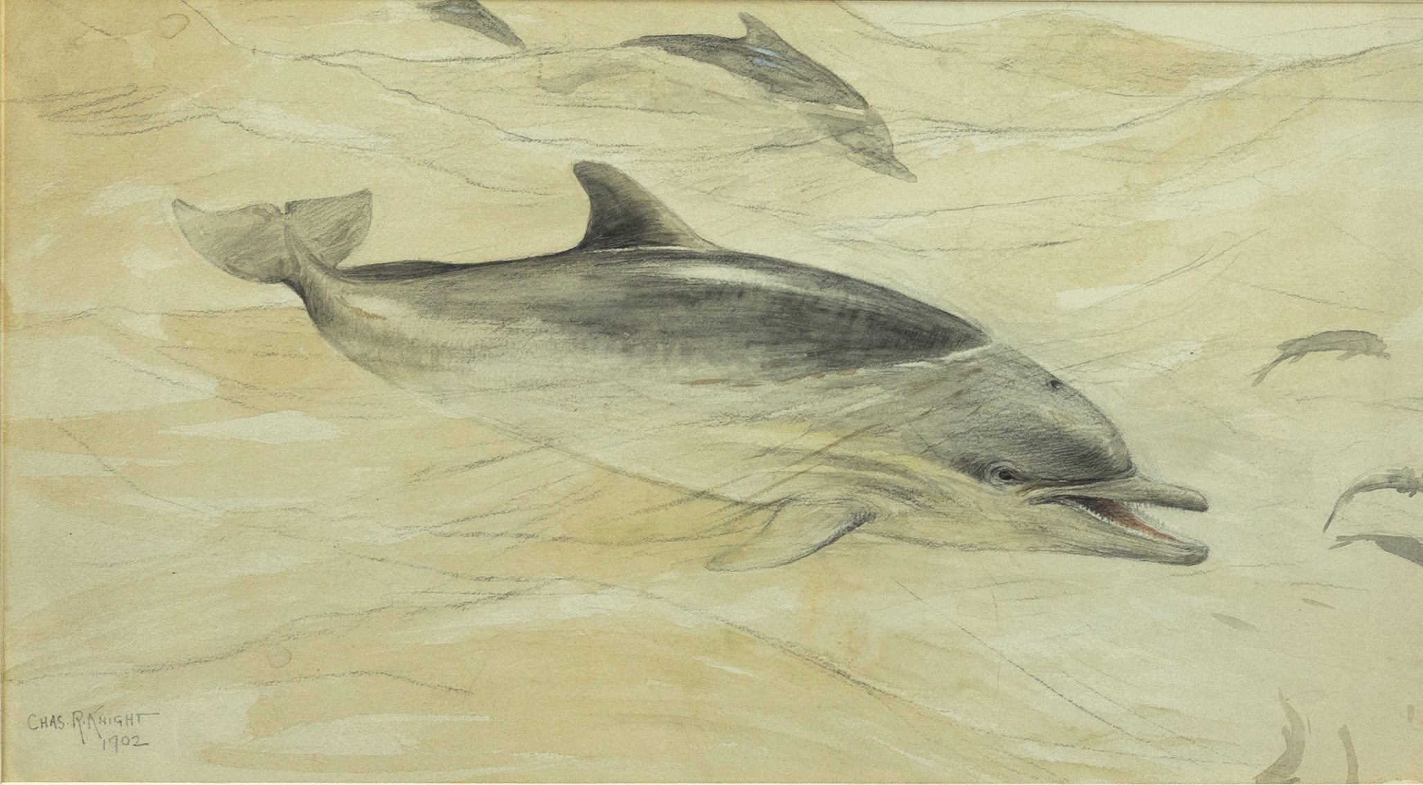 Charles R. Knight | Swimming Dolphin | MutualArt