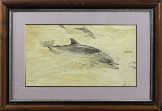 Charles R. Knight | Swimming Dolphin | MutualArt