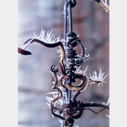 Deborah Legge | 1 Artworks at Auction | MutualArt