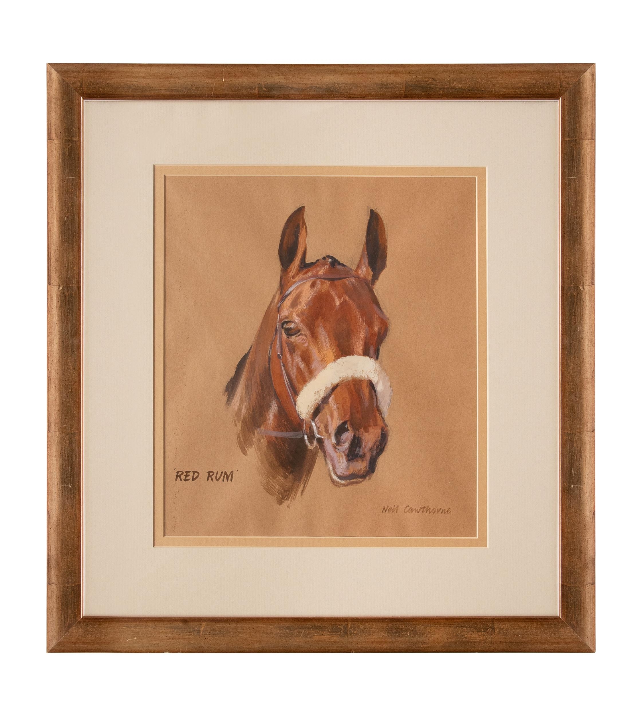 Neil Cawthorne | A head study of Red Rum | MutualArt