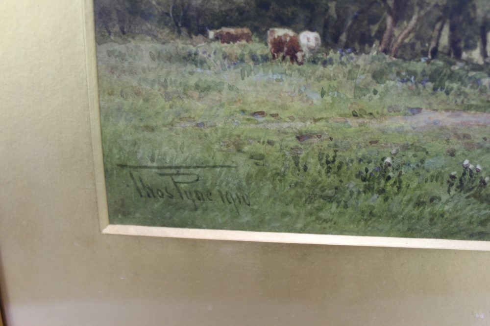 Thomas Pyne | Rural landscapes | MutualArt