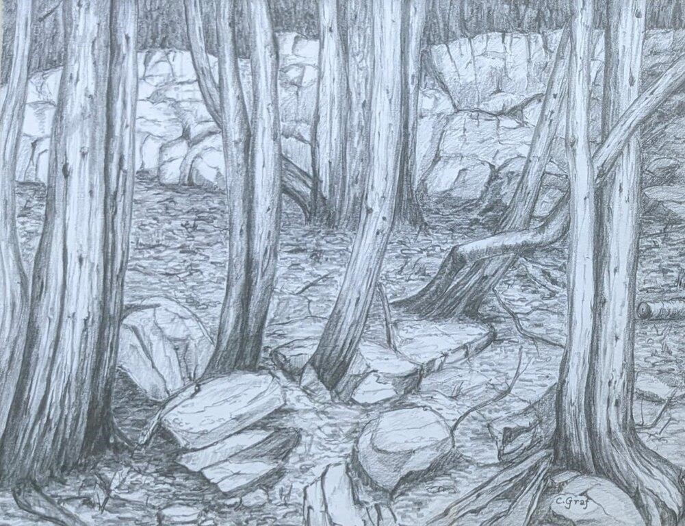 Christa Maria Johanna Theodora Graf | Backwoods in Actinolite | MutualArt