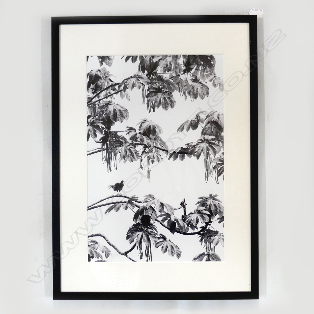 Gregory Basco | CHACHALACASCAPE | MutualArt