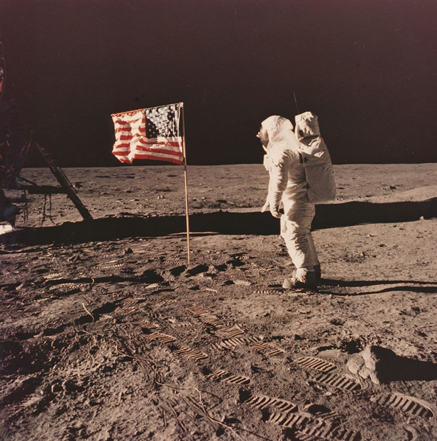 NASA | Moon Walk | MutualArt