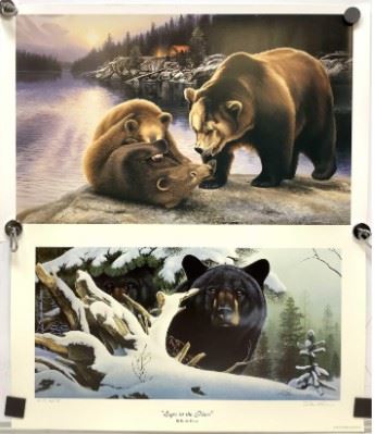Danny Pierce | Eyes in The Pines and Bear Cub Battle | MutualArt