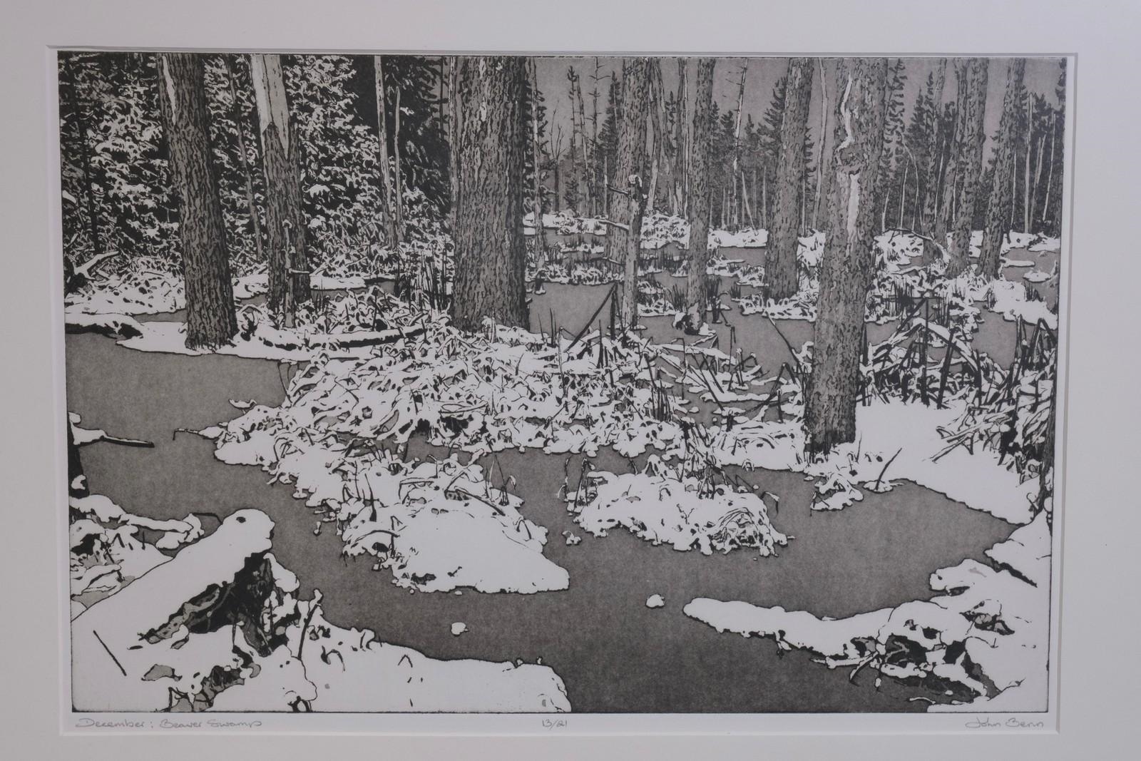 John Benn | December Beaver Swamp | MutualArt
