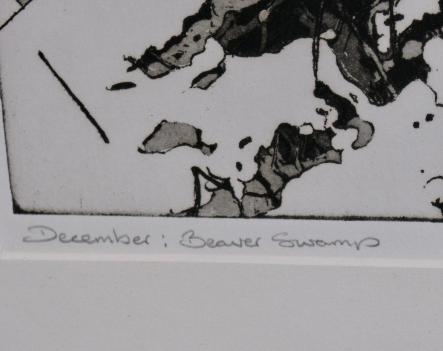 John Benn | December Beaver Swamp | MutualArt