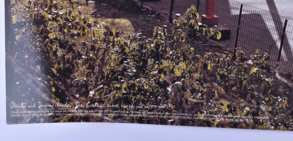 Wolfgang Volz | The Gates | MutualArt