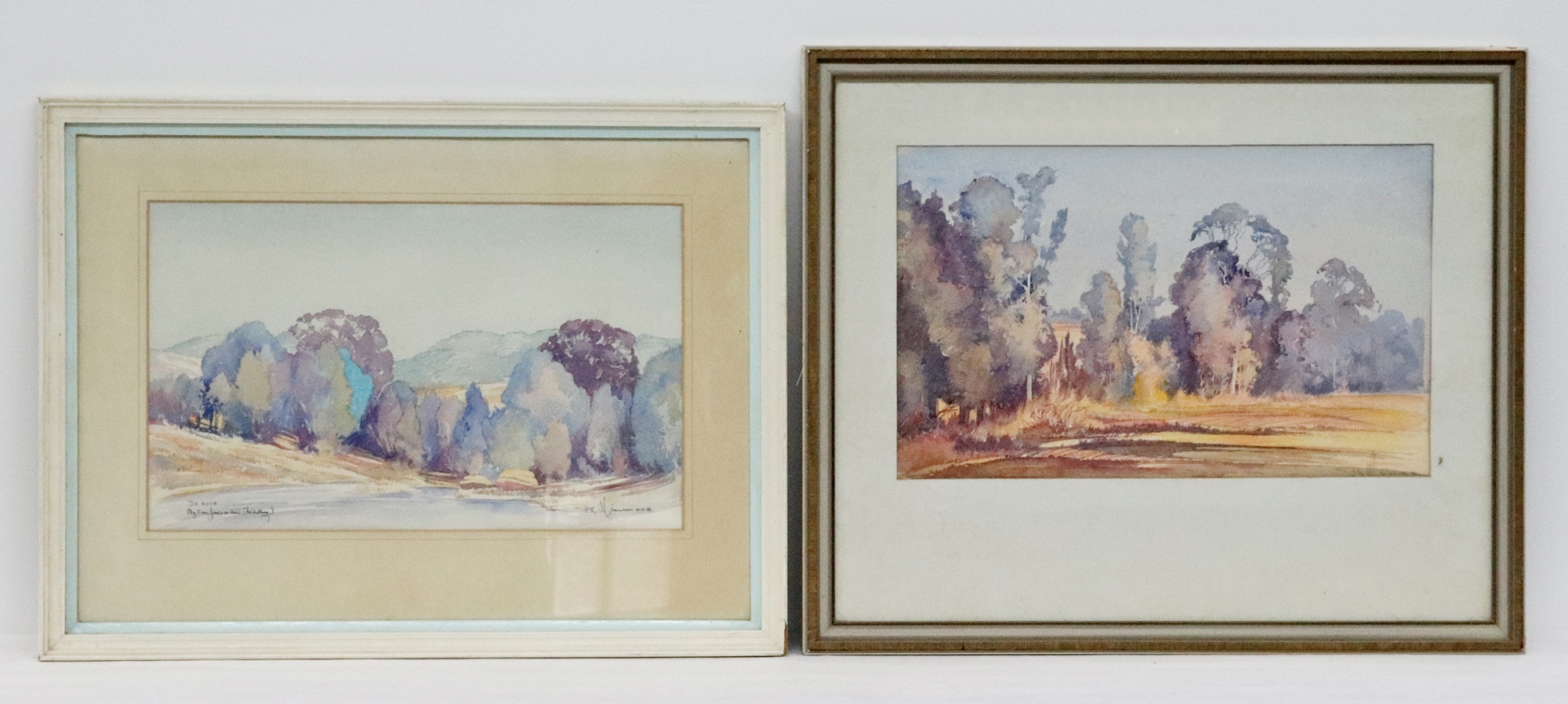 Phil Minnaar | HEIDELBERG PLAAS; BLOEKOMBOME | MutualArt