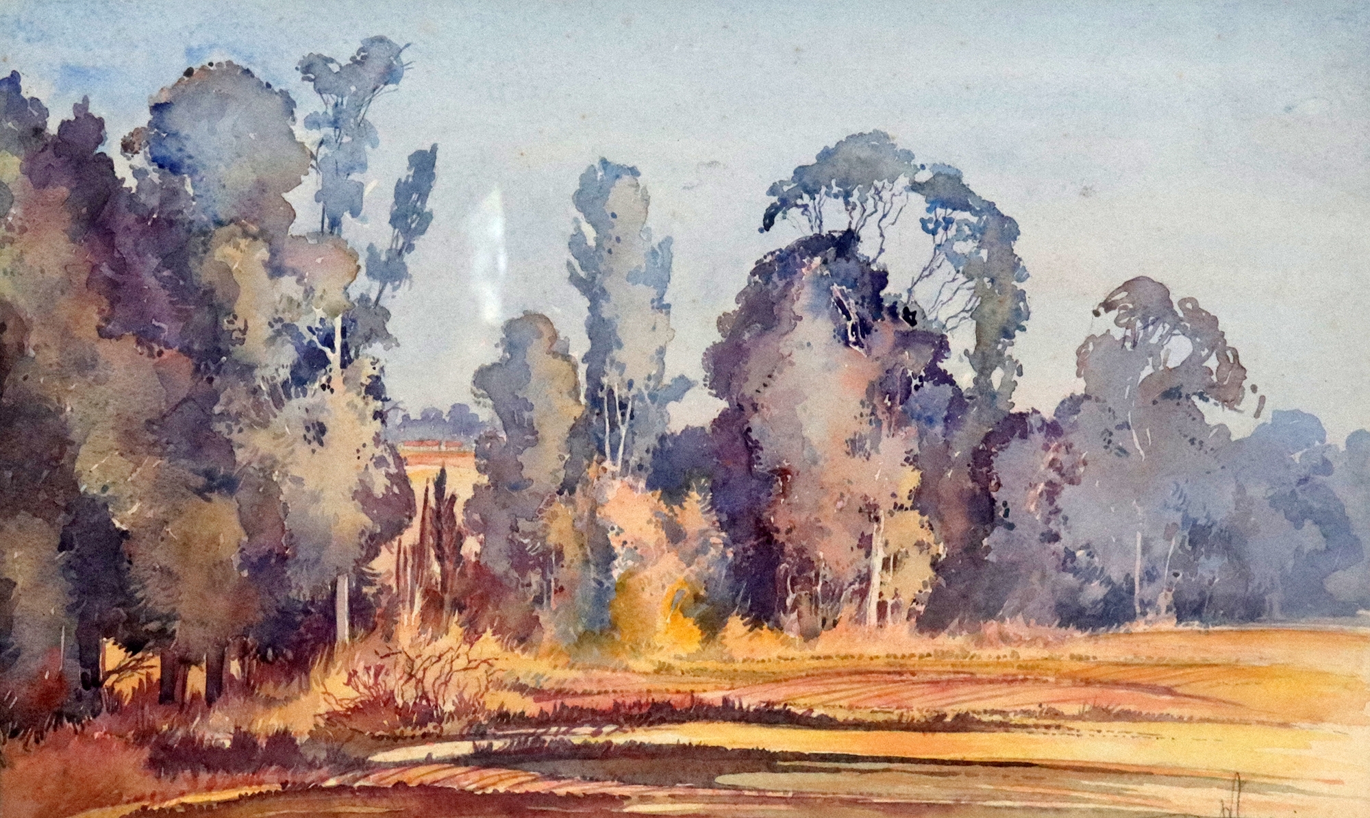 Phil Minnaar | HEIDELBERG PLAAS; BLOEKOMBOME | MutualArt