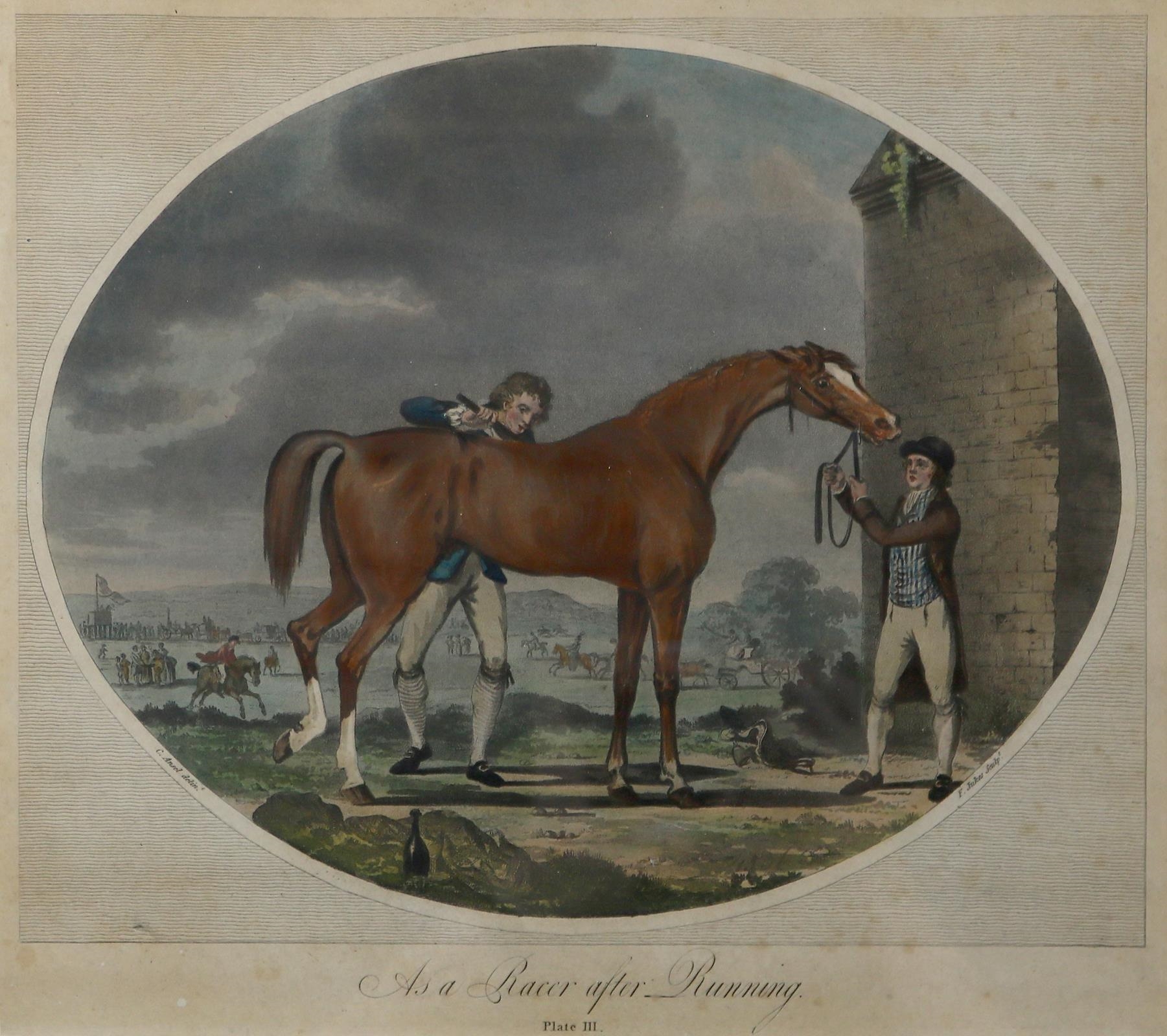 Francis Jukes | Life and death of a Racehorse (1784) | MutualArt
